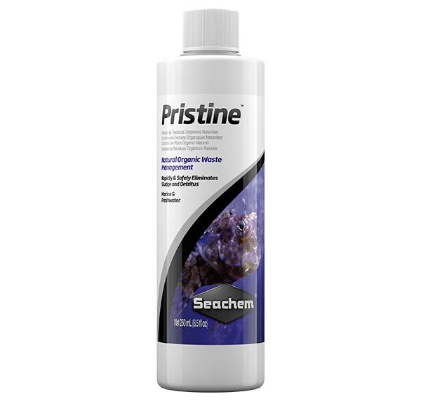Pristine 250ml - Bespoke Aquariums