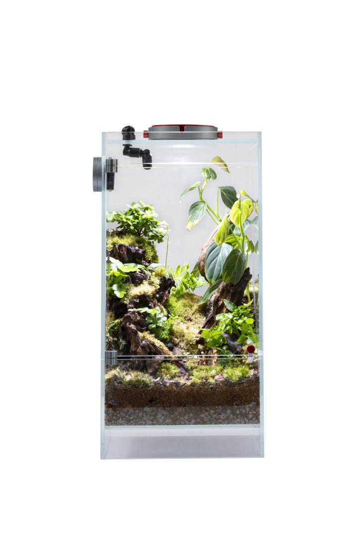AQ-F20 Infinity Hylaea All-in-One Terrarium Kit (20x20x40cm) - Bespoke ...